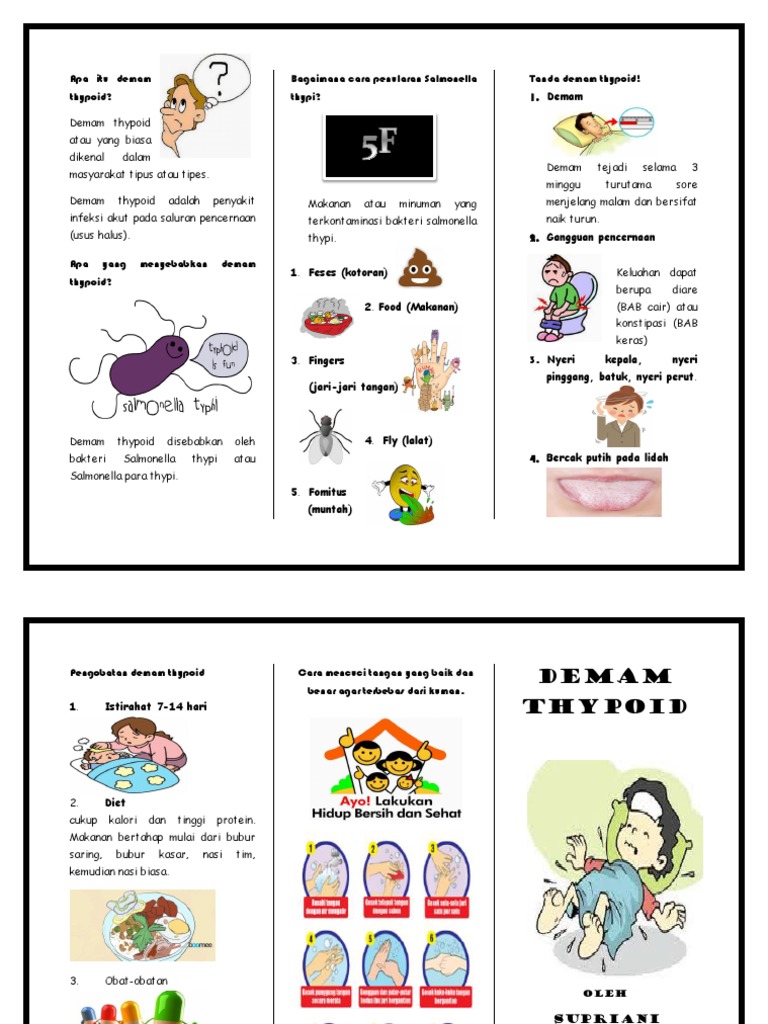 Leaflet Thypoid | PDF