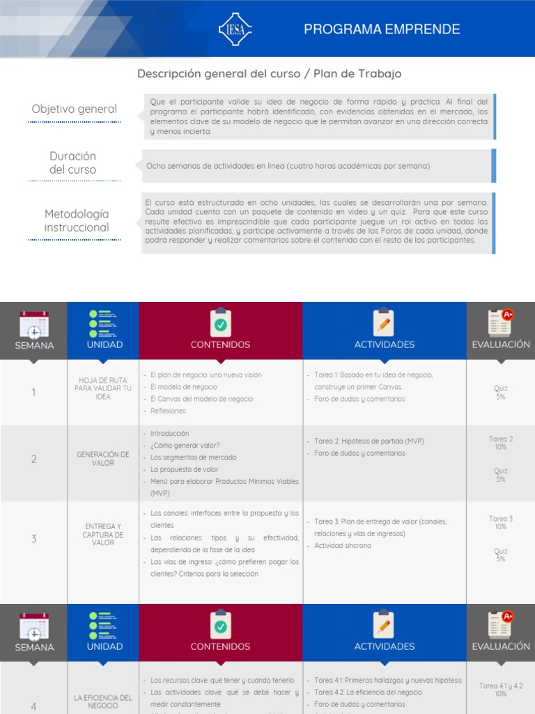Plan Del Programa | PDF | Modelo de negocio | Business