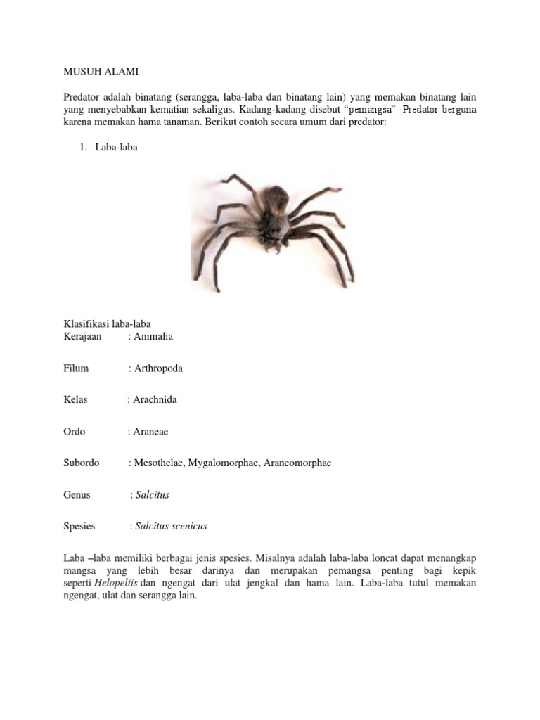 Musuh Alami | PDF | Teknologi & Rekayasa