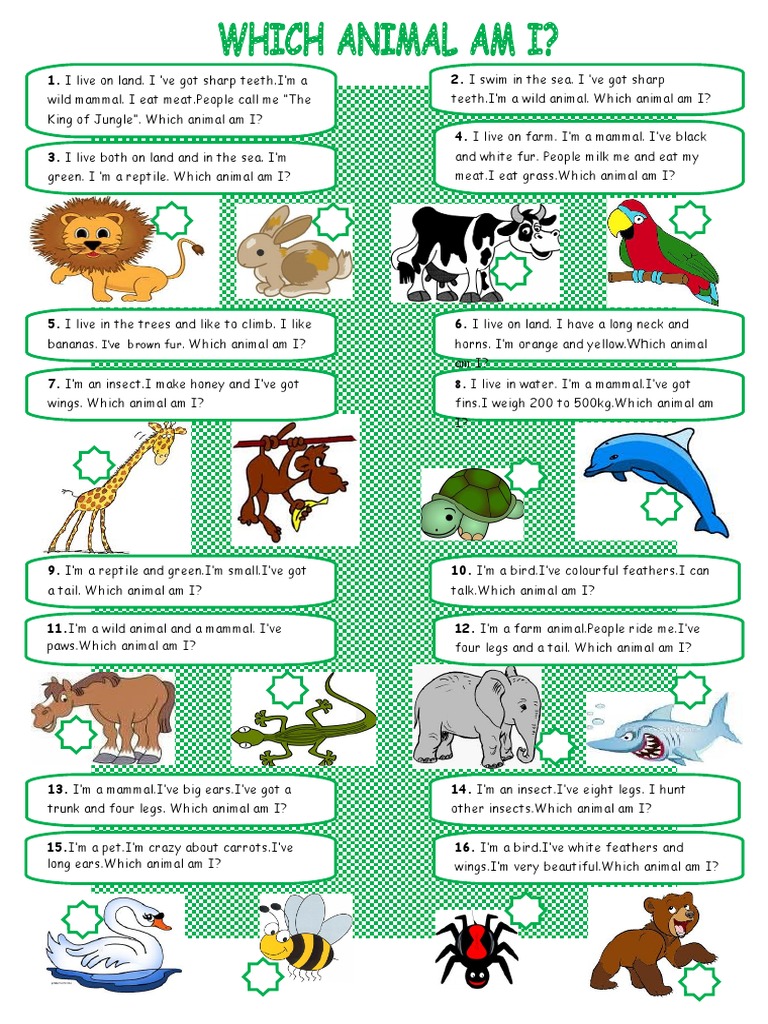 Describing Animals Fun Activities Games 36907 | PDF