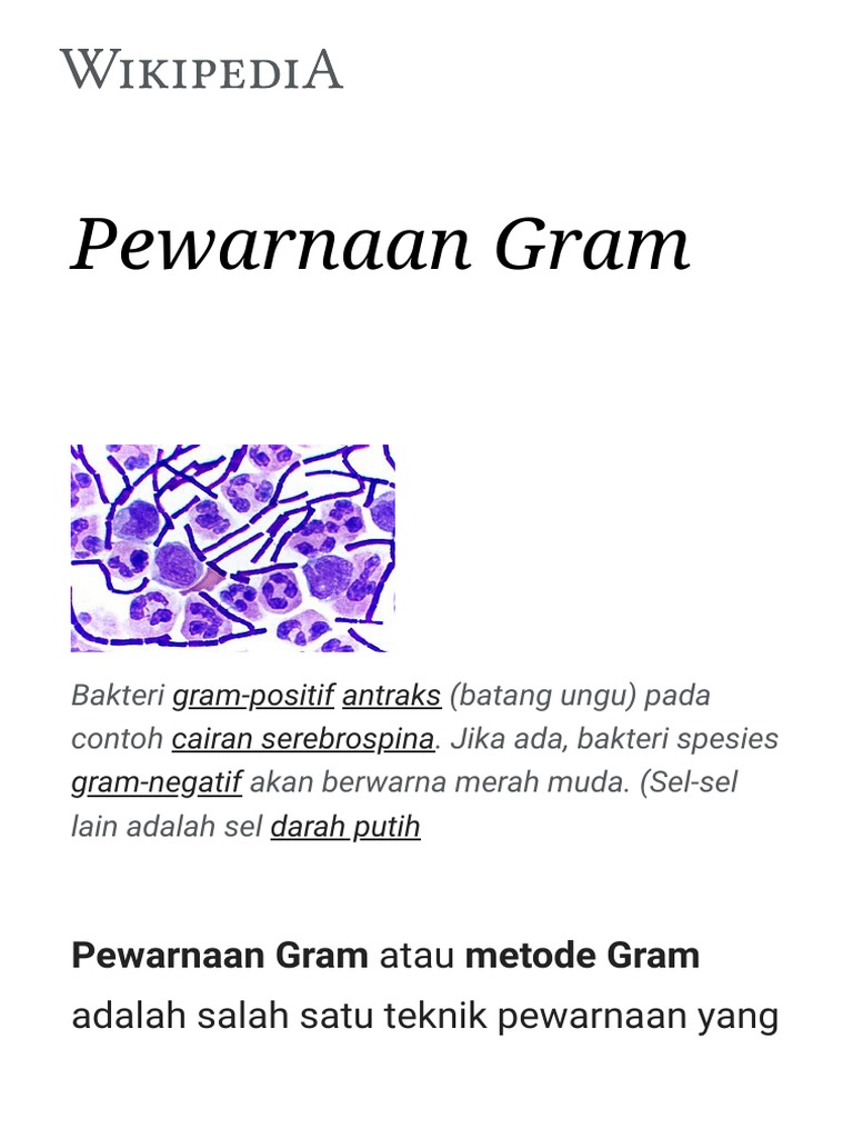 Pewarnaan Gram - Wikipedia Bahasa Indonesia, Ensiklopedia Bebas PDF | PDF