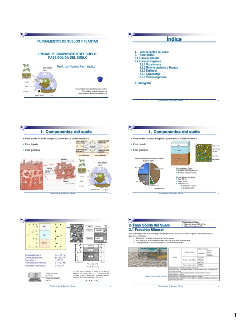 Fase Sólida del Suelo: Composición y Función | PDF | Compost | Suelo