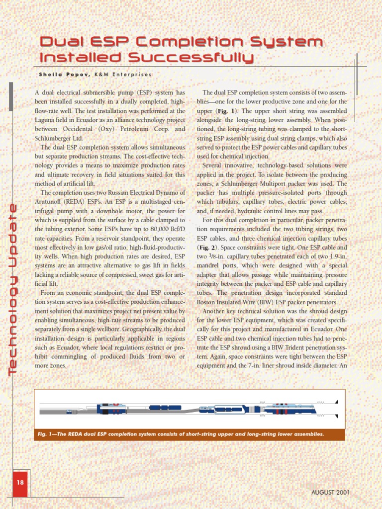 Successful Dual ESP Installation in Ecuador | PDF | Gas Technologies ...