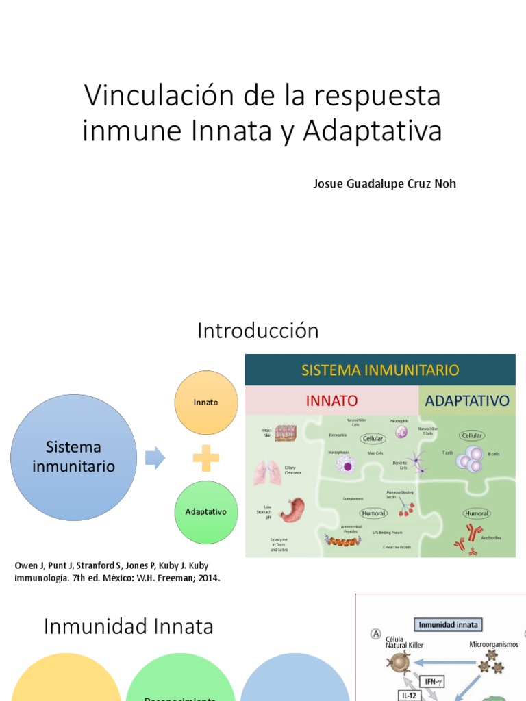 Relación entre la inmunidad innata y adaptativa | Sistema inmune innato | Sistema inmune ...