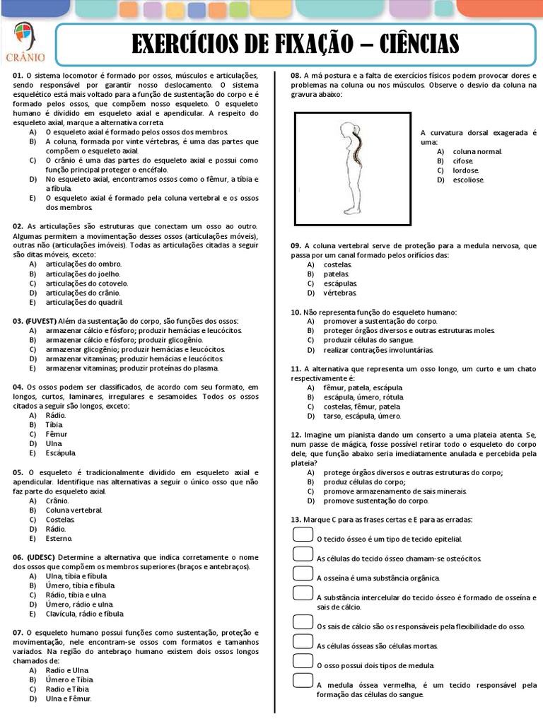 Ossos Pdf Esqueleto Osso