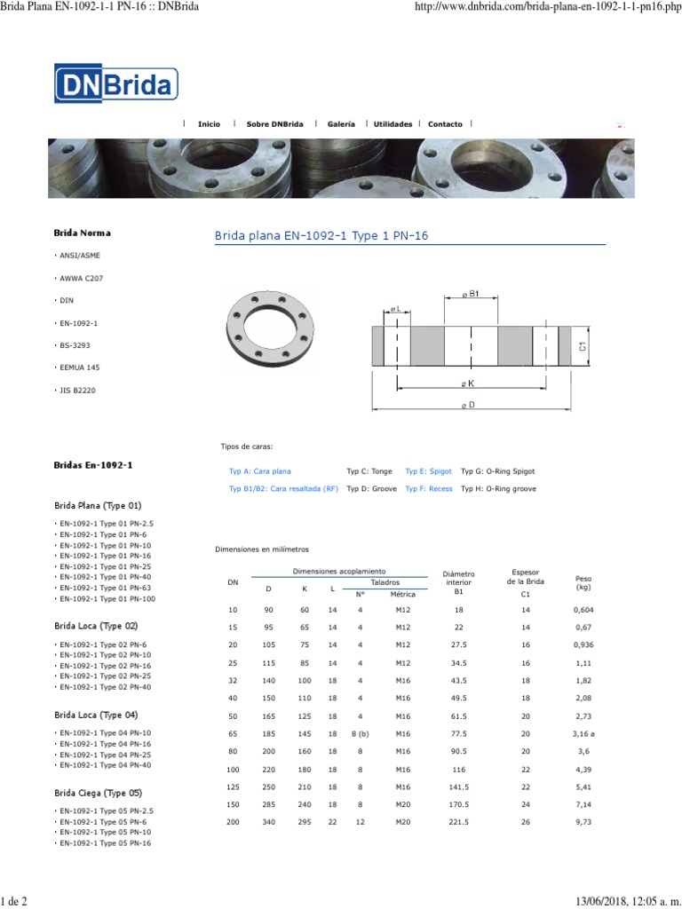 Brida Plana En-1092!1!1 PN-16 - DNBrida | PDF | Tecnologías de gas | Plomería