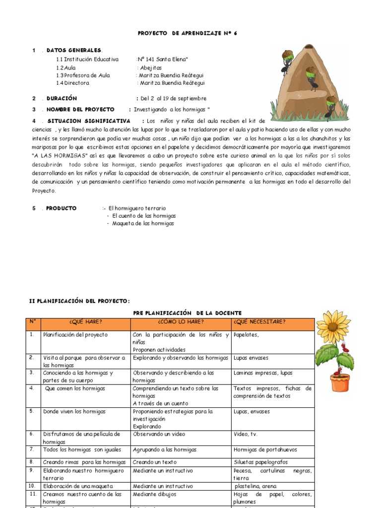 Una investigación sobre las hormigas: descubriendo las características ...