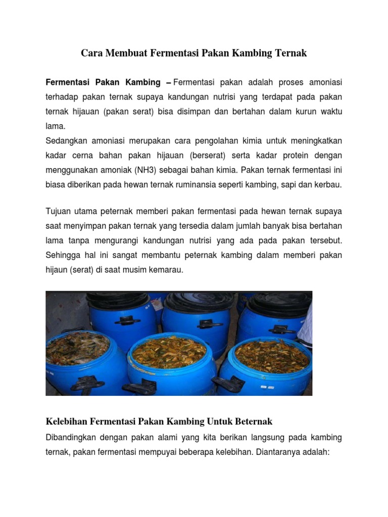 Cara Membuat Fermentasi Pakan Kambing Ternak Agar Cepat Gemuk | PDF