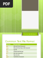 10 Codes | PDF | Emergency Incident | Transport