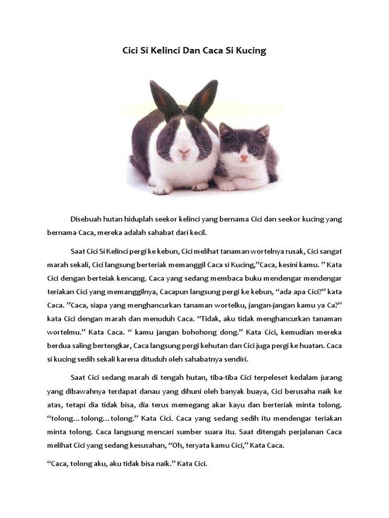 Cici Si Kelinci Dan Caca Si Kucing | PDF