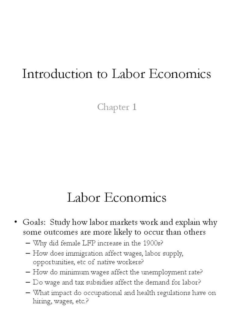 Introduction To Labor Economics | PDF | Labour Economics | Unemployment