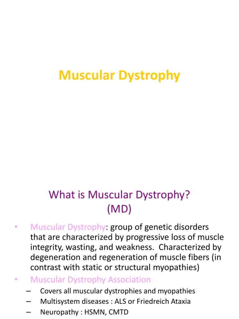 Muscular Dystrophy | PDF | Muscular Dystrophy | Muscle