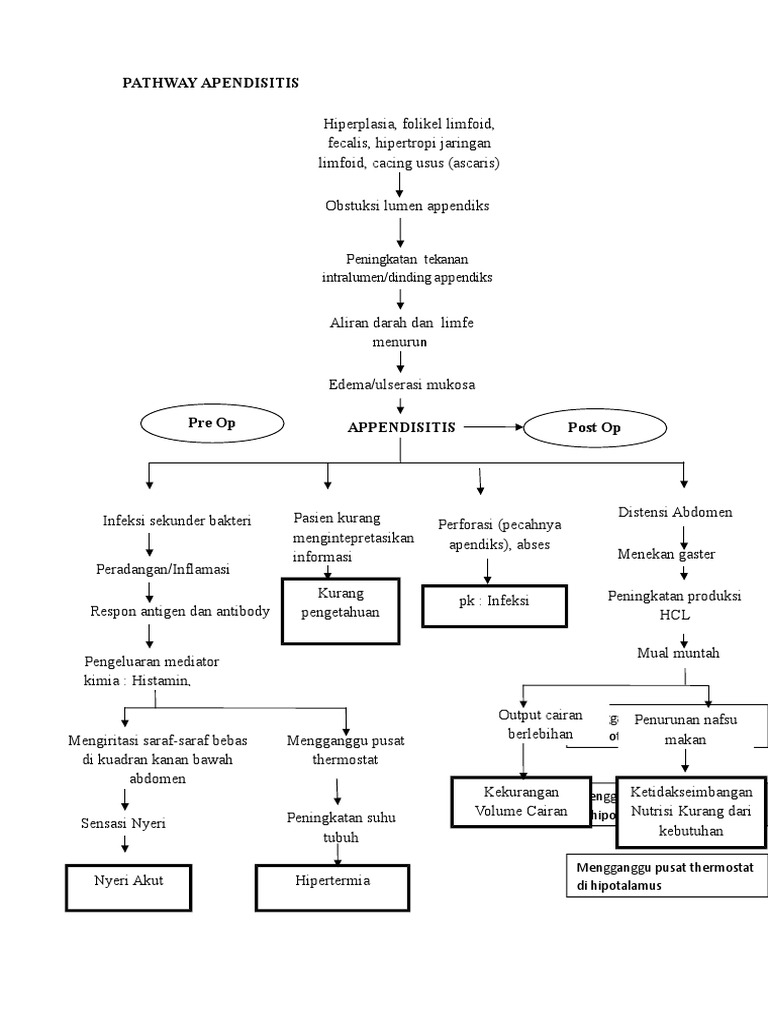 Pathway Apendiks | PDF