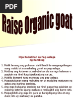 Pagbababuyan | PDF
