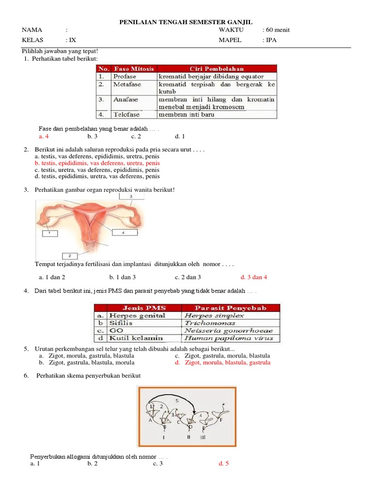 Soal Pts Semester Ganjil Kelas 9 Kurtilas Revisi 2018 | PDF