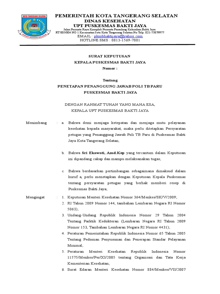 SK Program TB Paru | PDF