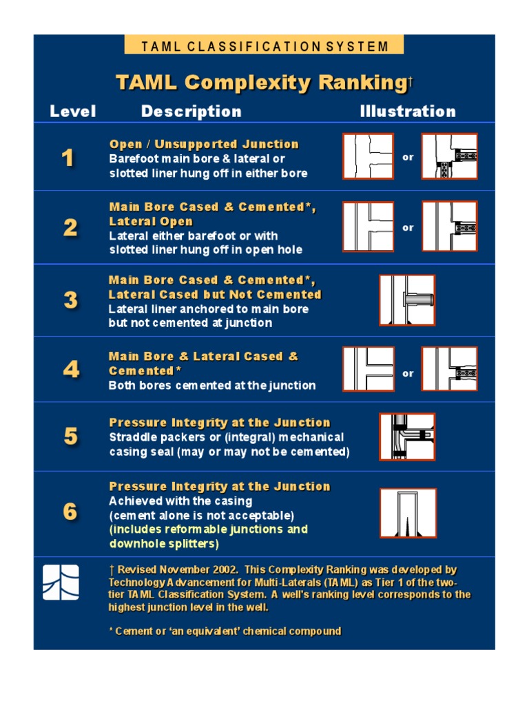 Level Description Illustration: Taml Classification System | PDF ...