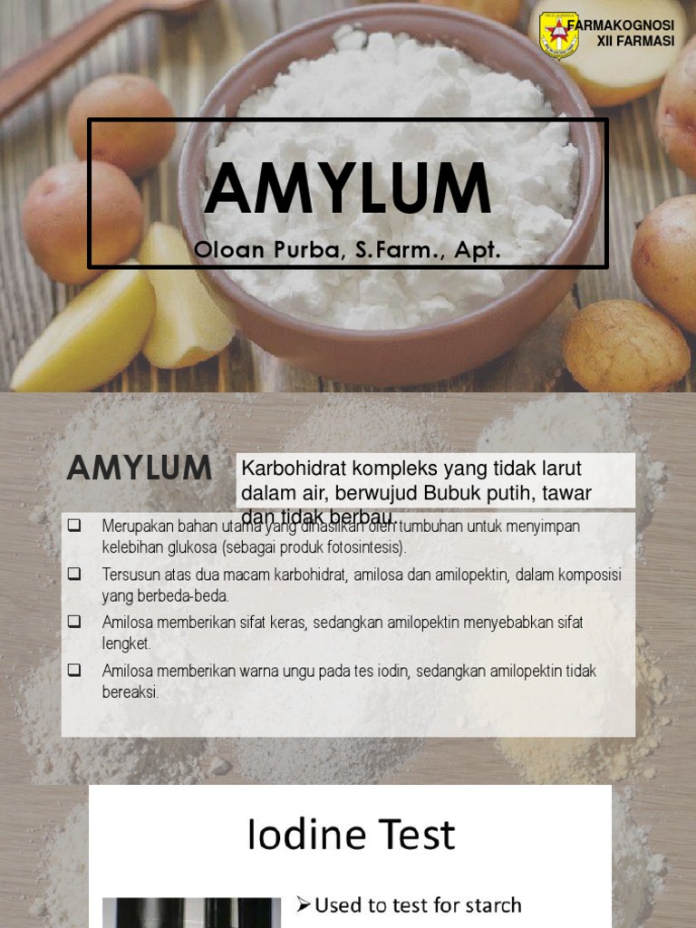 Amylum | PDF