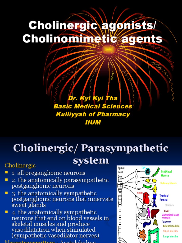 Cholinergic Agonists/ Cholinomimetic Agents: Dr. Kyi Kyi Tha Basic ...