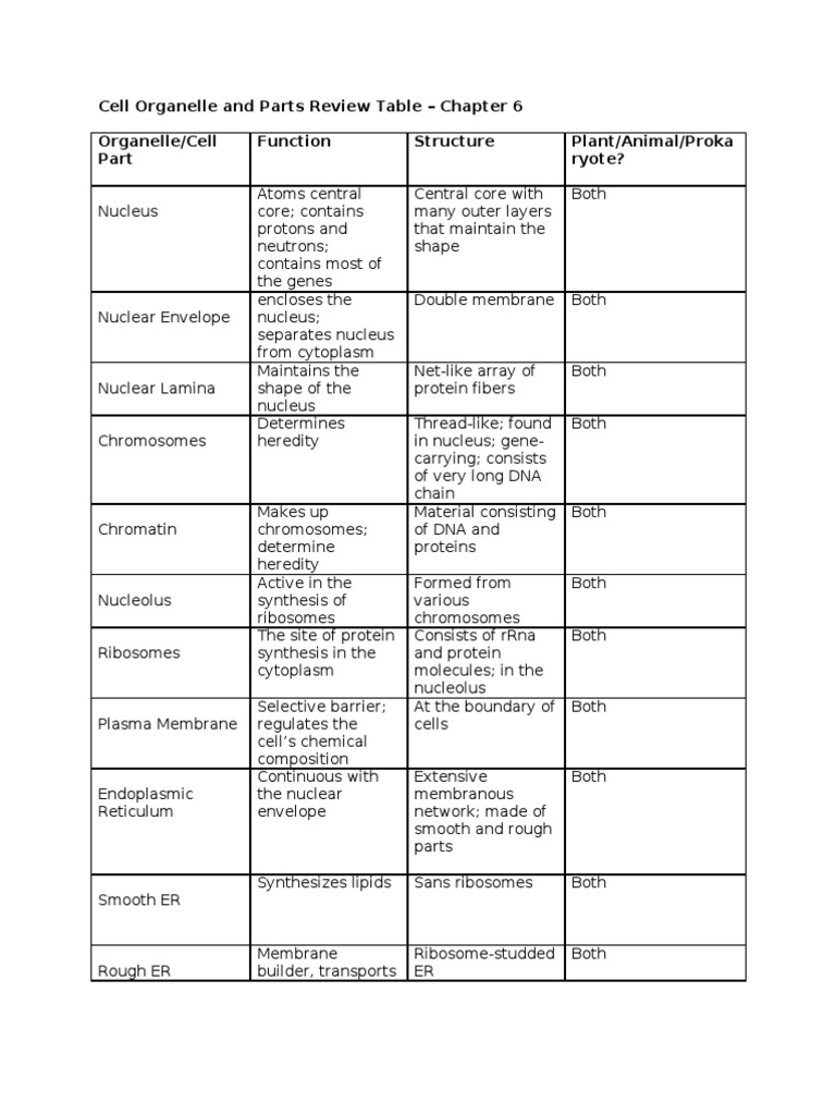 Cell Organelle and Parts Review Table - Chapter 6 Organelle/Cell ...