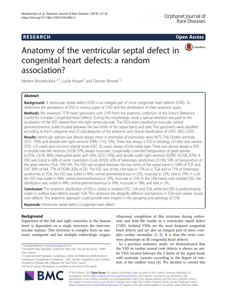 Anatomy of The Ventricular Septal Defect in Congenital Heart Defect ...