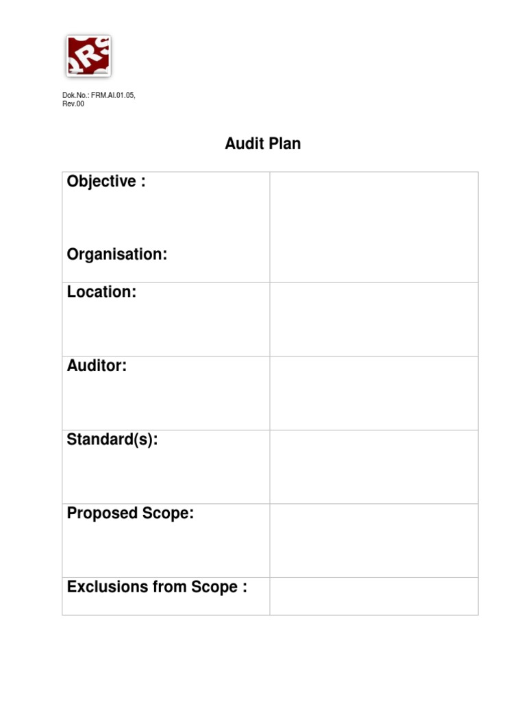 Audit Plan Overview and Scope Details | PDF