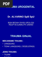 Urology Medical Terminology | PDF | Urinary System | Kidney