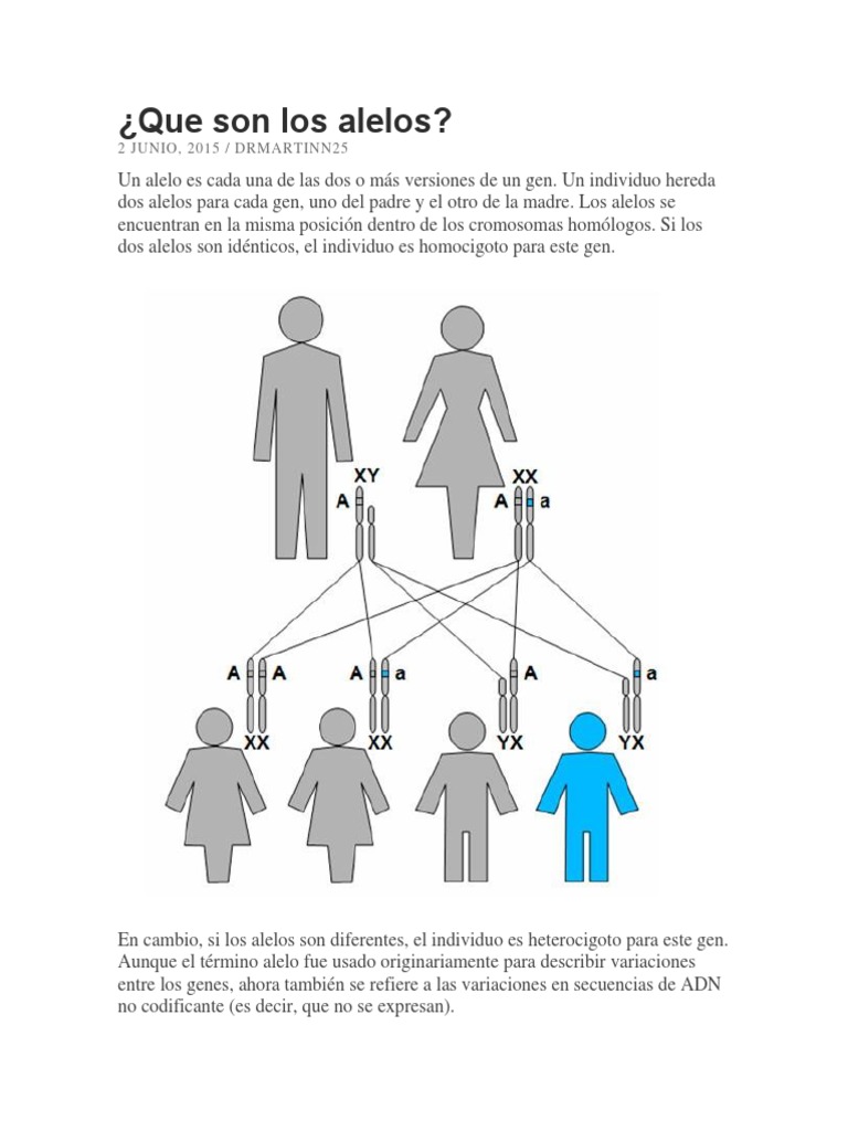 Definición y tipos de alelos en biología | PDF | Artes del Lenguaje y ...