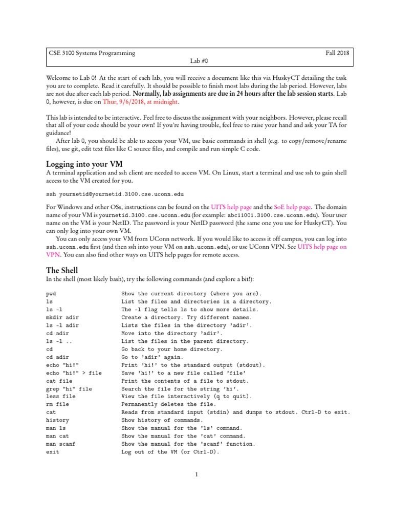 Cse 3100 Lab 0 | PDF | Secure Shell | Shell (Computing)