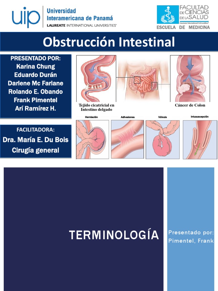 Fisiopatología de la Obstrucción Intestinal | PDF | Gastroenterología ...