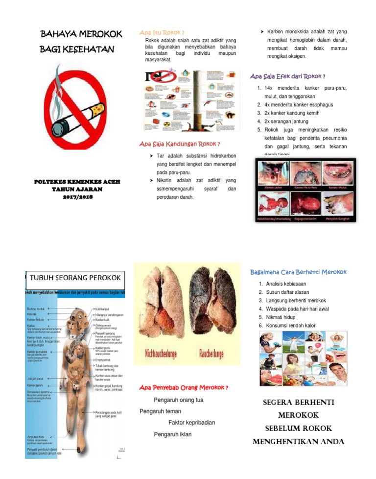 Leaflet Bahaya Merokok | PDF