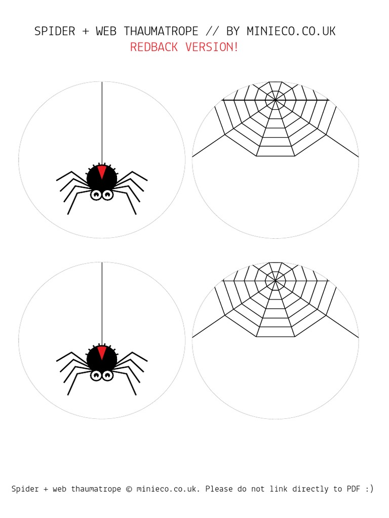 Redback Thaumatrope PDF | PDF