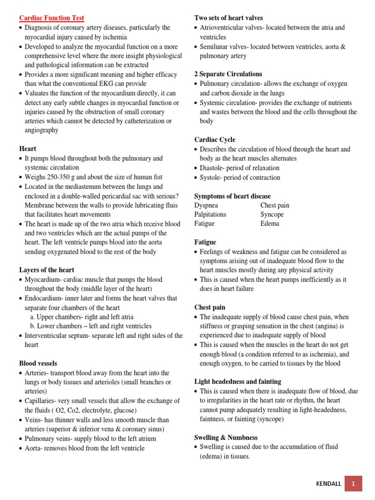 Cardiac Function Test Overview | PDF | Vein | Heart