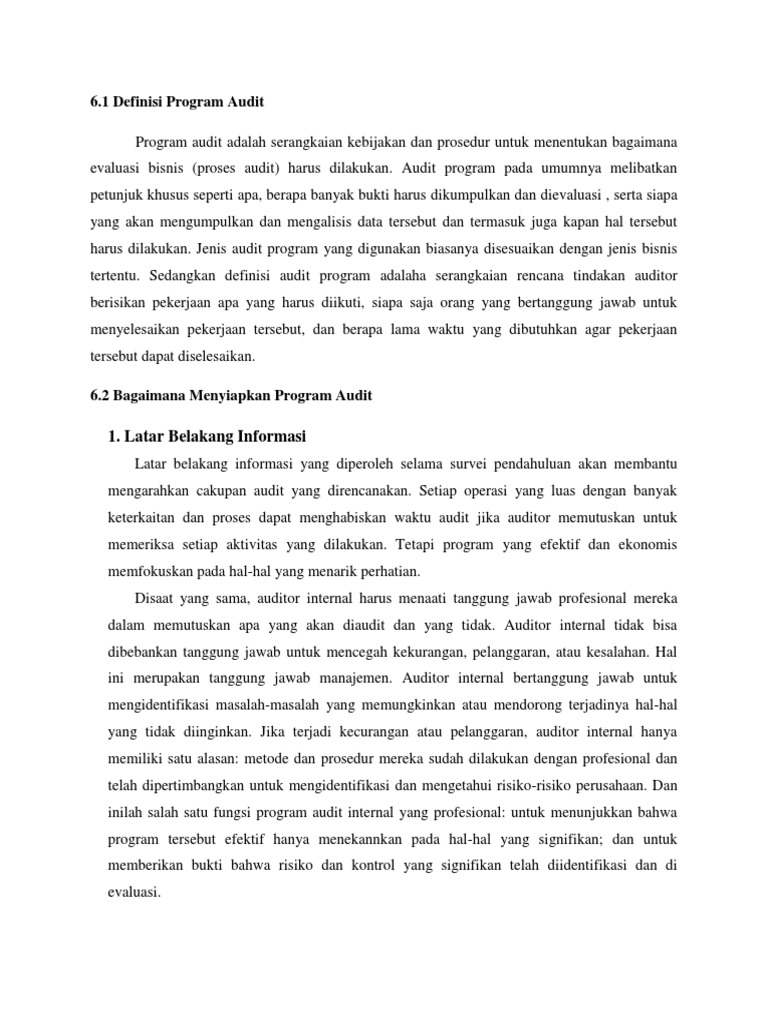 Panduan Program Audit Internal | PDF