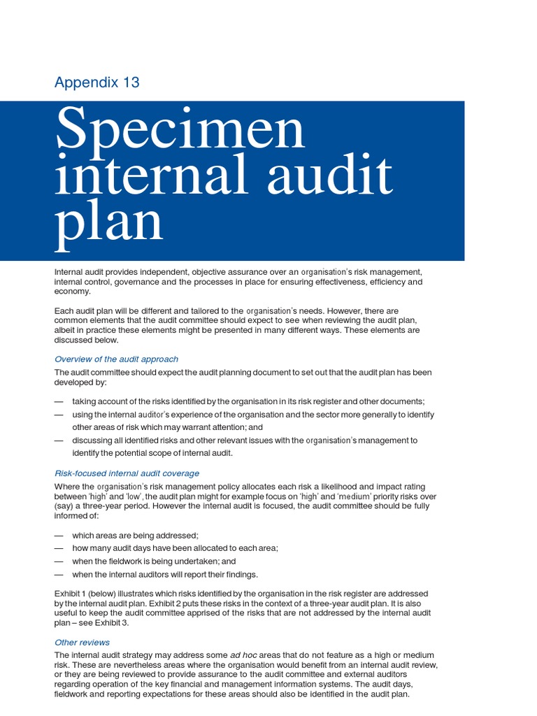 13 Specimen Internal Audit Plan | Internal Audit | Audit Committee