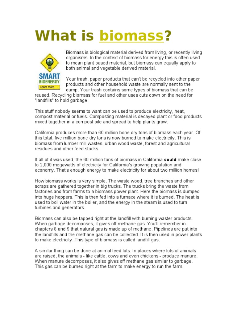 What Is Biomass | PDF | Biomass | Greenhouse Effect