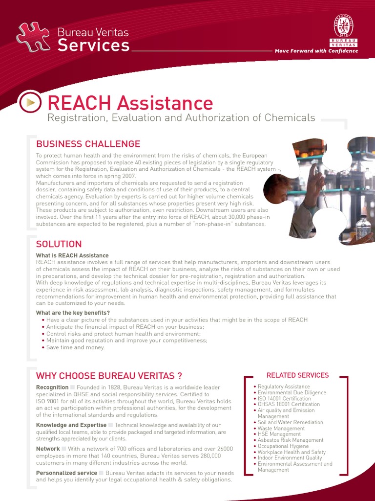 Reach Assistance PDF | PDF | Safety | Business