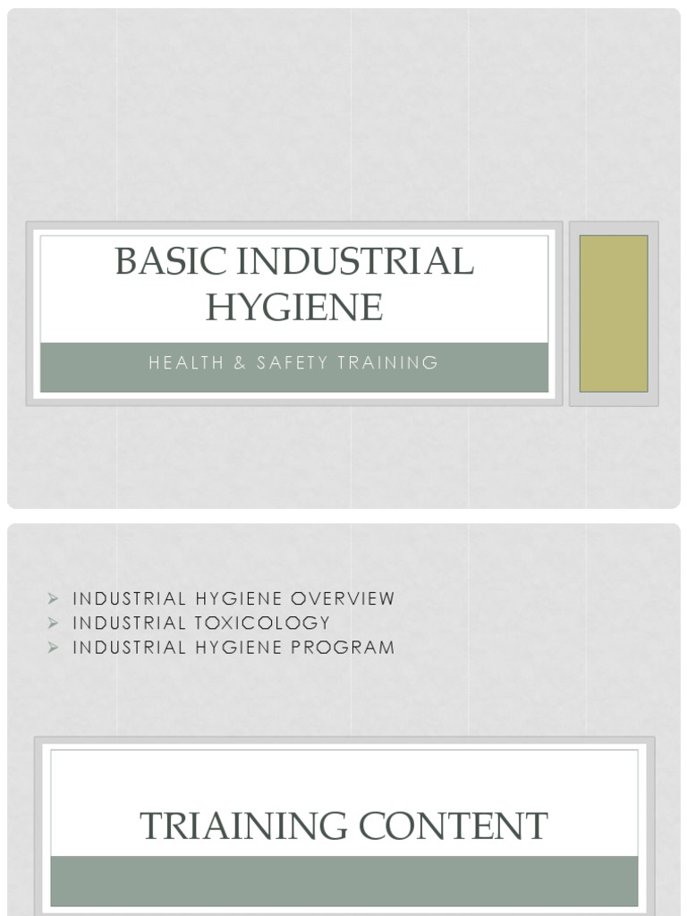 Basic Industrial Hygiene | PDF