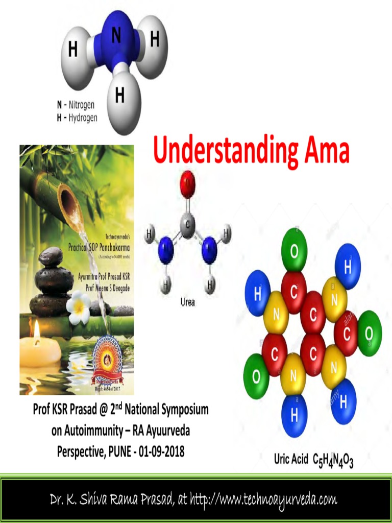 Understanding Ama Understanding Ama | Download Free PDF | Gut Flora ...