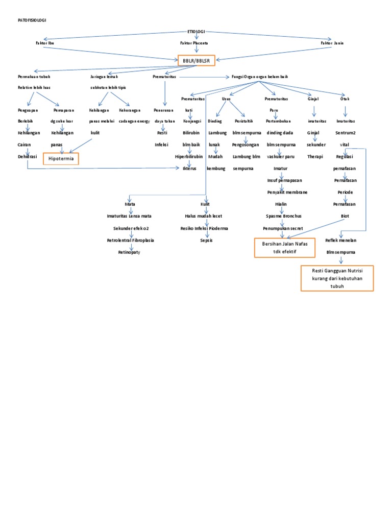 PATOFISIOLOGI BBLSR | PDF
