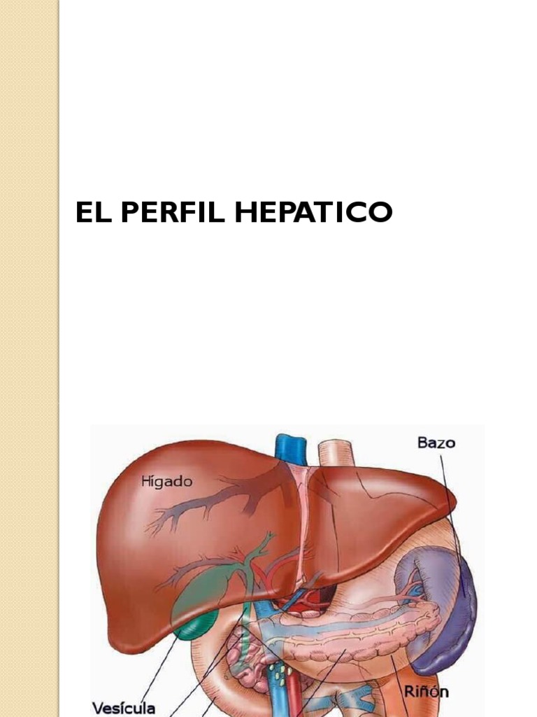 Perfil Hepatico | PDF | Sangre | Transaminasa