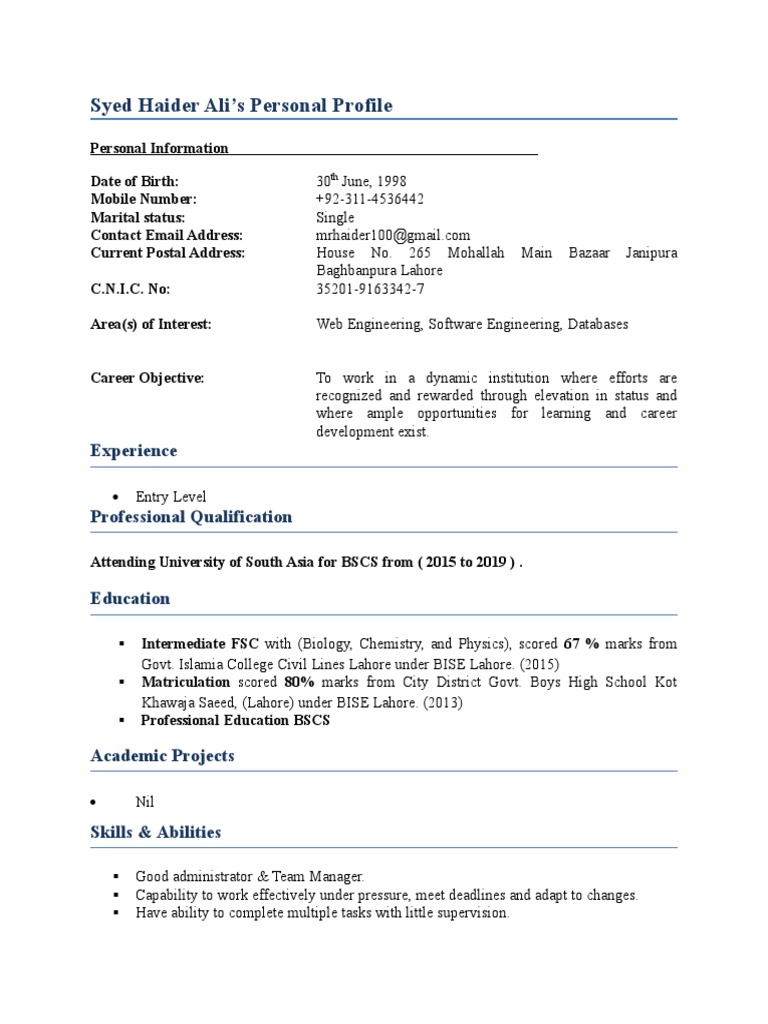 CV Syed Haider Ali | PDF