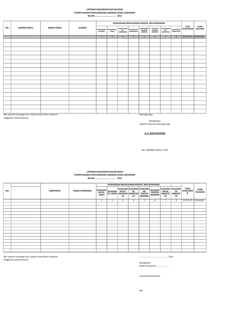Format Laporan JKN PUSKESMAS | PDF