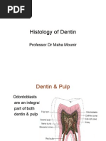 Dentine Pulp Complex | PDF