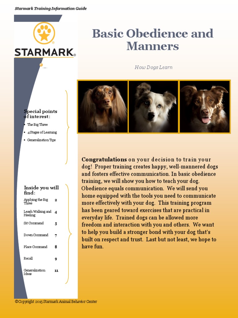 Obedience Guidestar Mark | PDF | Obedience Training | Leash