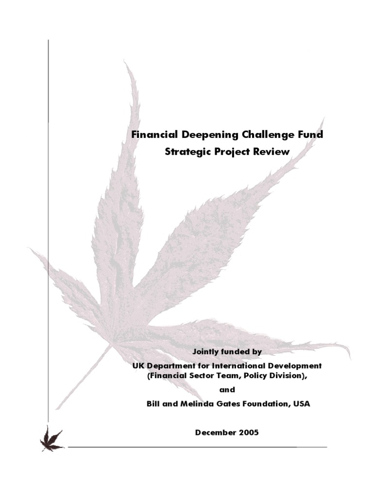 Financial Deepening Challenge Fund Strategic Project Review | PDF ...