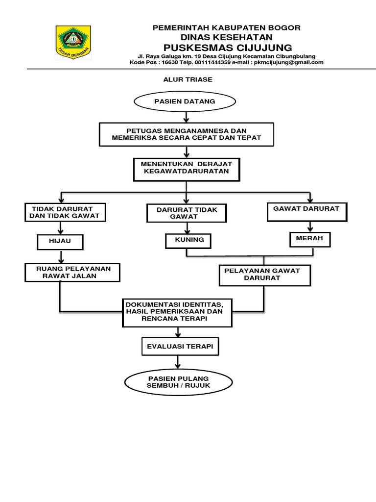 Bagan Alur TRIASE | PDF