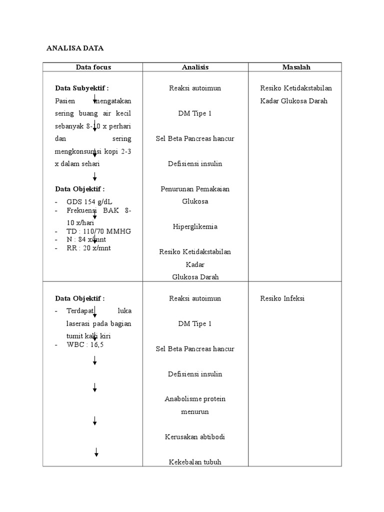 Analisa Data DM | PDF