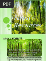 Apitong Tree: Characteristics and Uses | PDF | Home & Garden