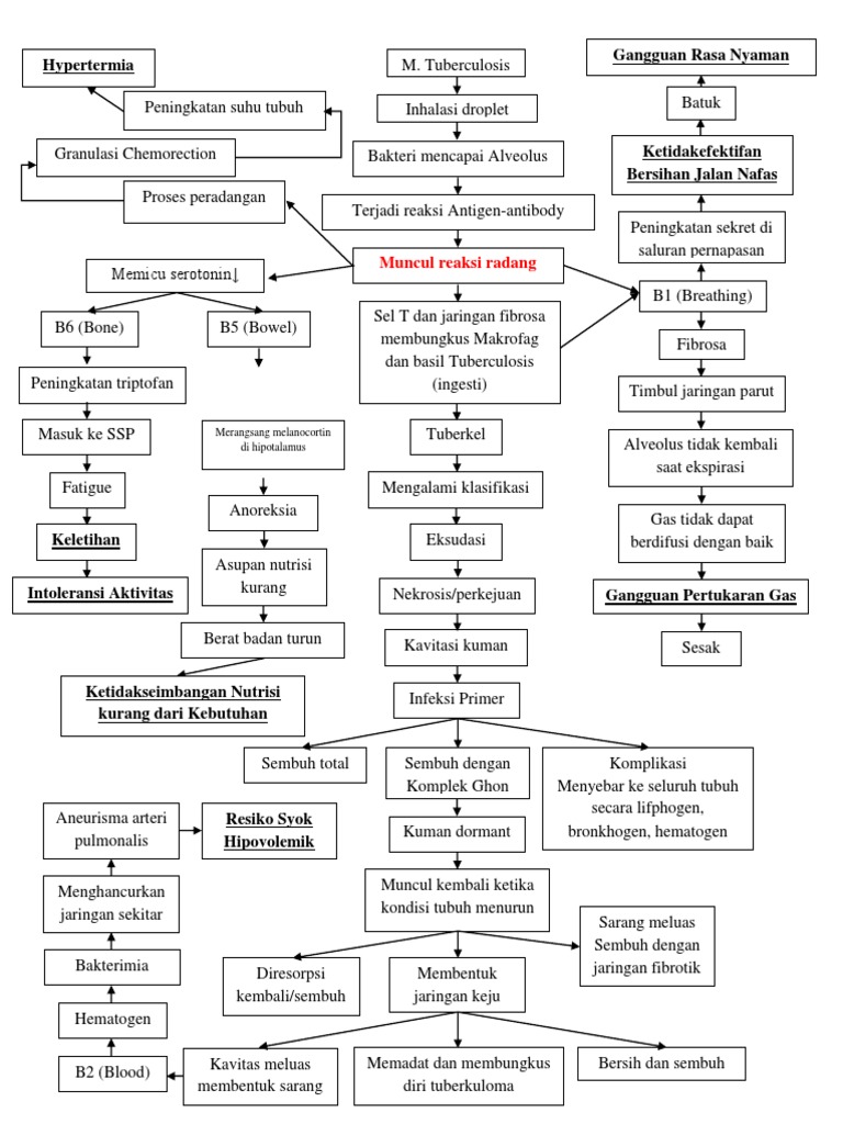 Patofisiologi Tuberkulosis Paru | PDF